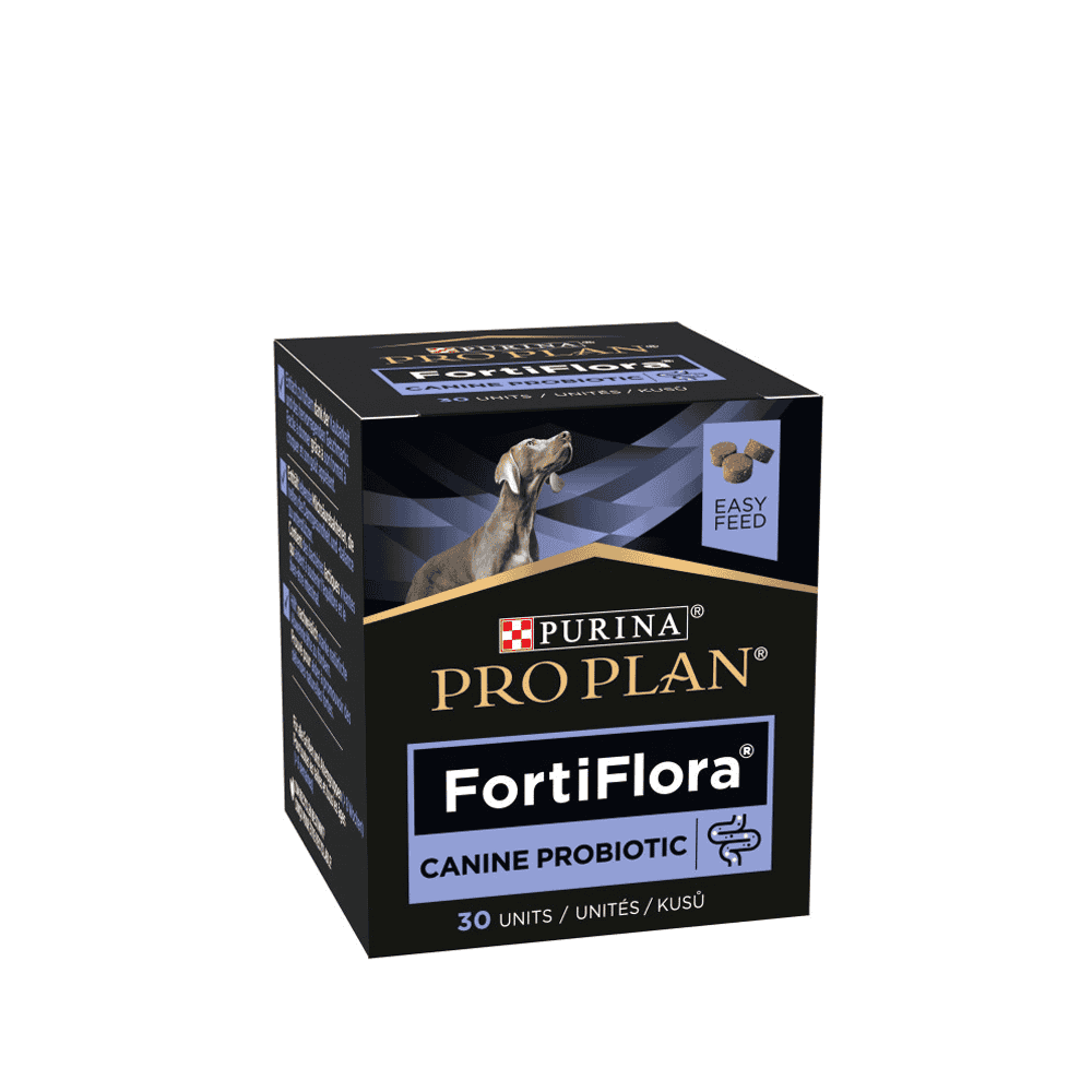 CANINE FortiFlora Chews Probiotikum Supplement 30 Kautabletten