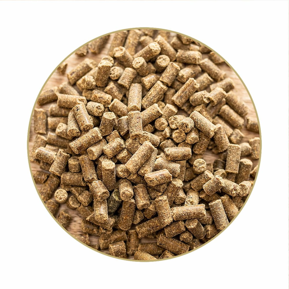 Magnesium B12 online kaufen | iPet.ch