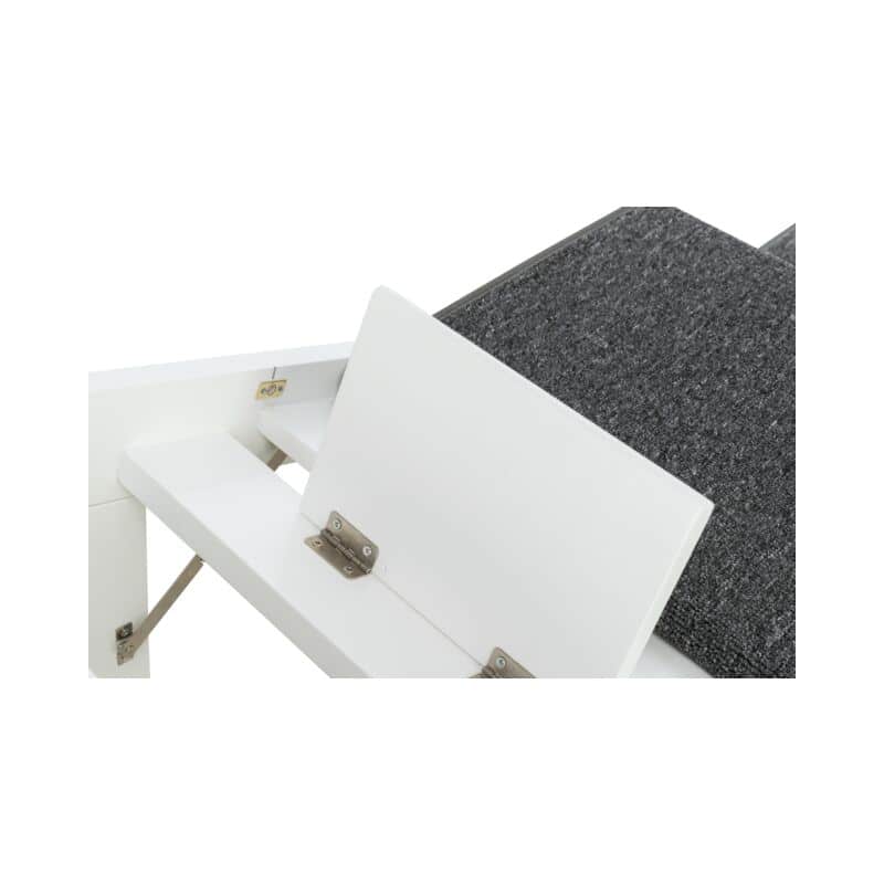 Trixie Rampe avec marches dépliables, achat online