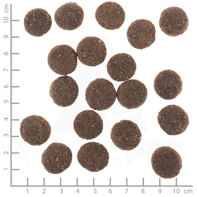 Wolfsblut Range Lamb Senior erhältlich bei iPet.ch