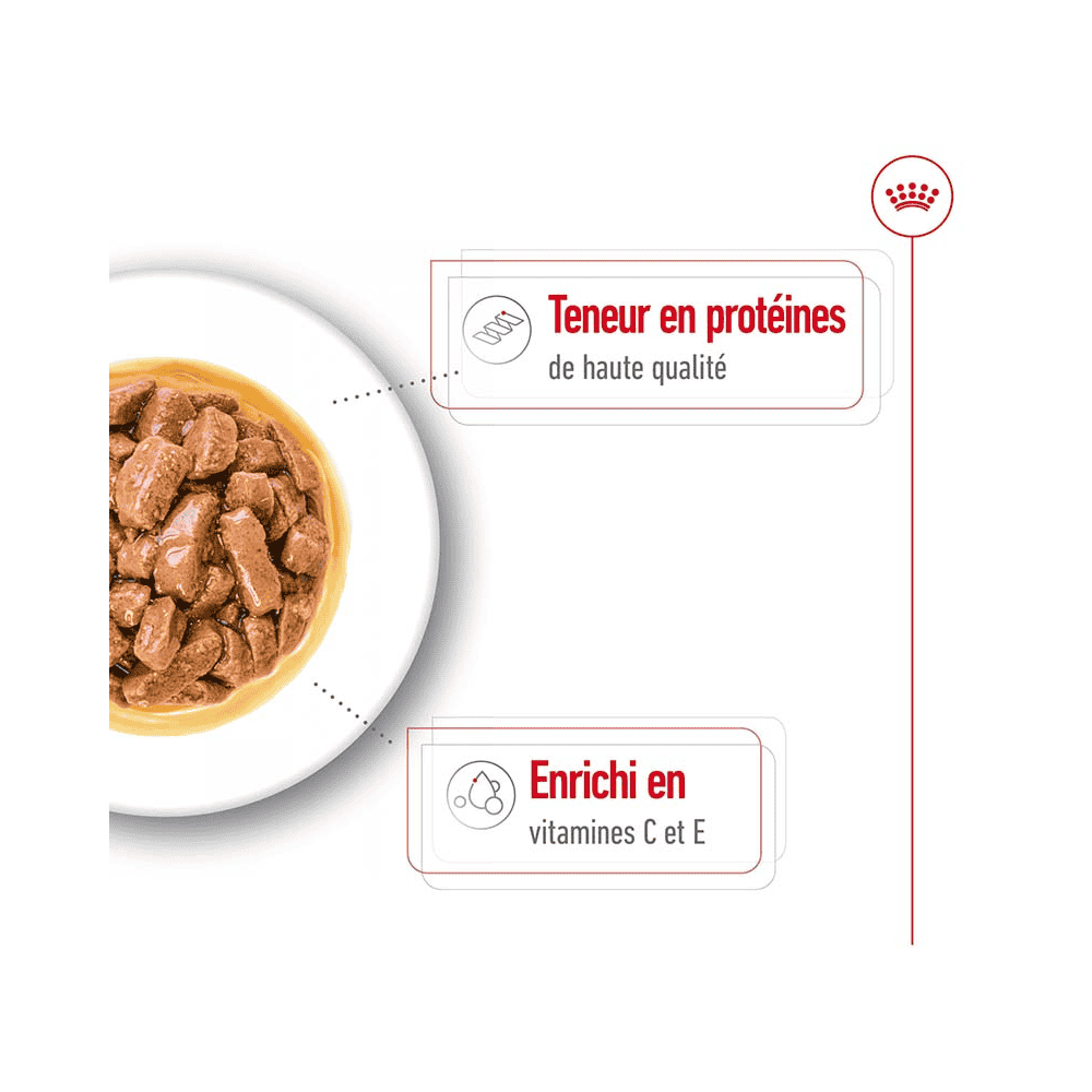 Medium Adult - sachets, livraison rapide par iPet