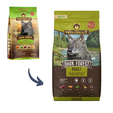 dark forest wolfsblut