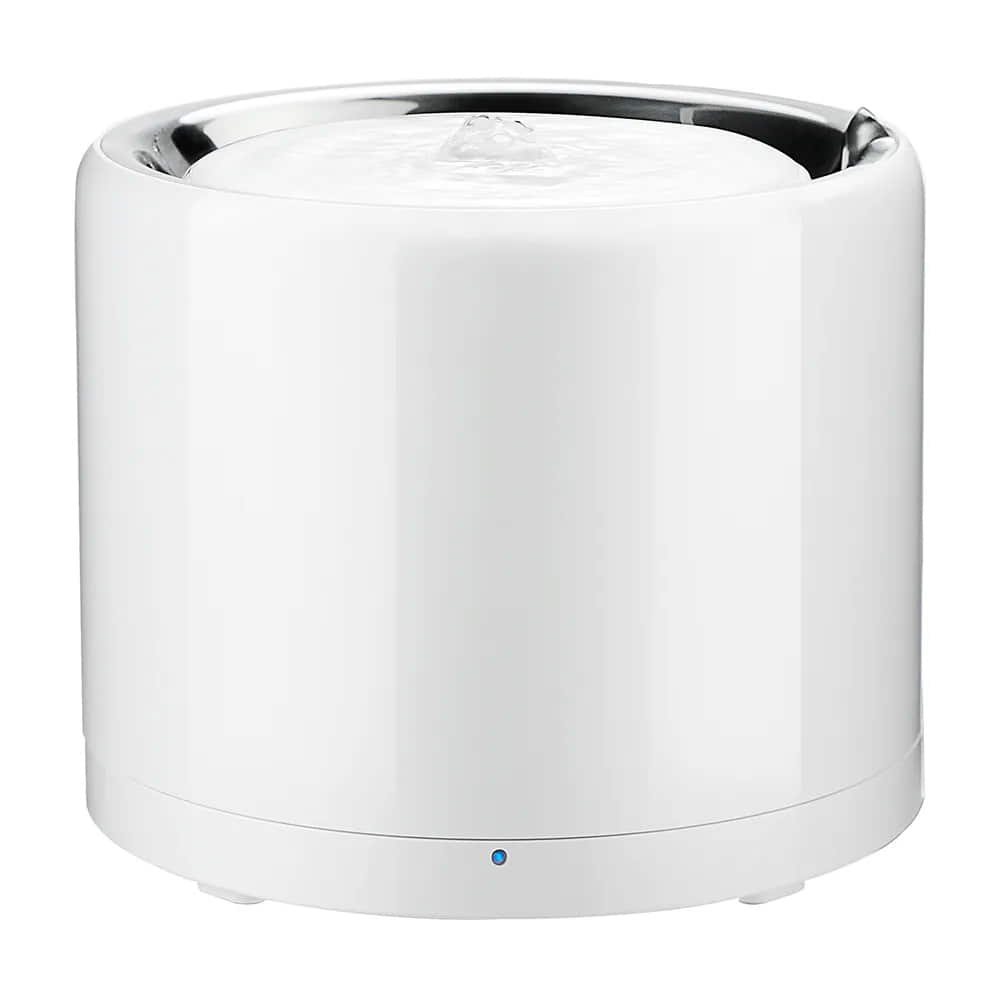 PETKIT Smart Pet Trinkbrunnen Eversweet 3.0 online kaufen | iPet.ch