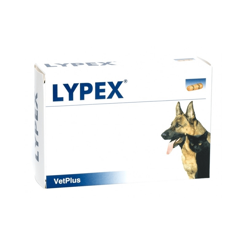 VetPlus Lypex | iPet.ch