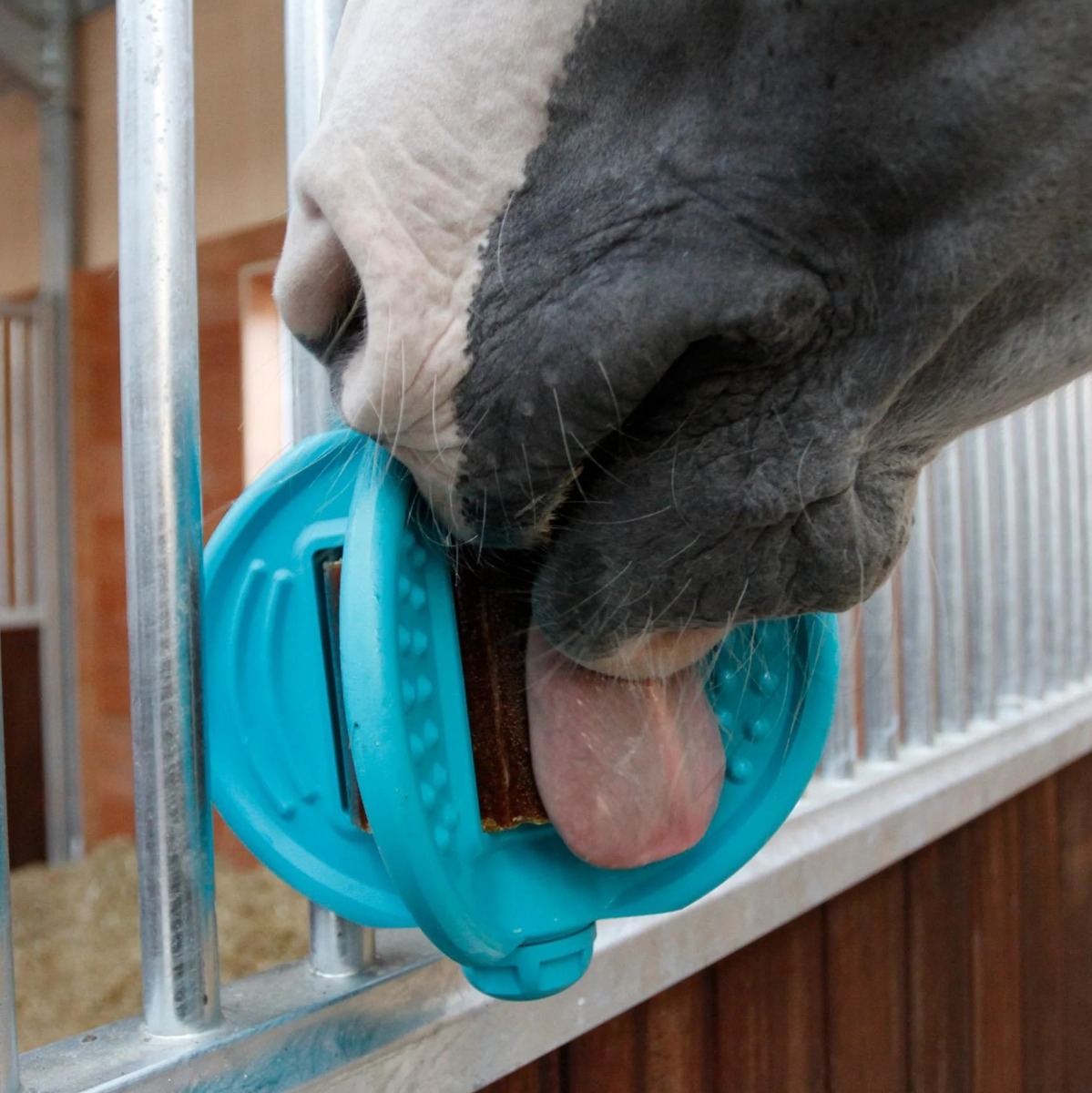 Bizzy Ball acheter en ligne | iPet.ch