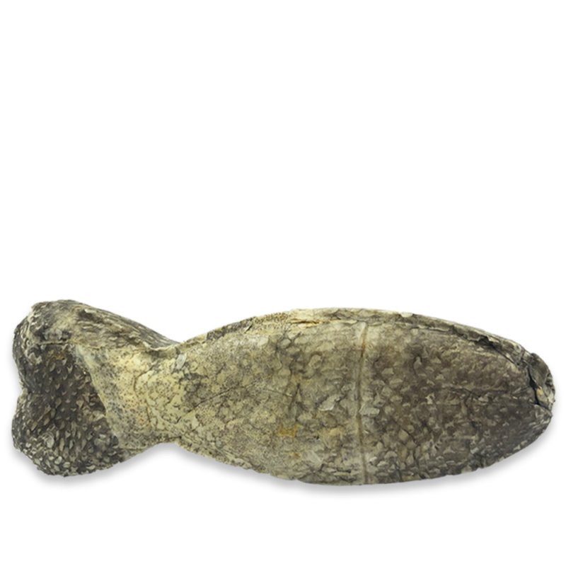 Dog Dorsch-Kauknochen (os à mâcher de morue) acheter en ligne | iPet.ch