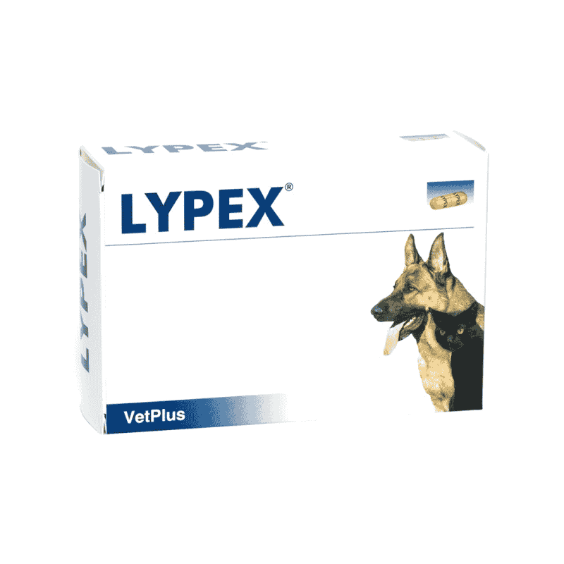 VetPlus Lypex | iPet.ch