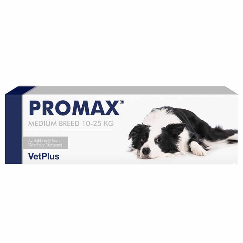VetPlus Promax günstig und rasch geliefert iPet.ch