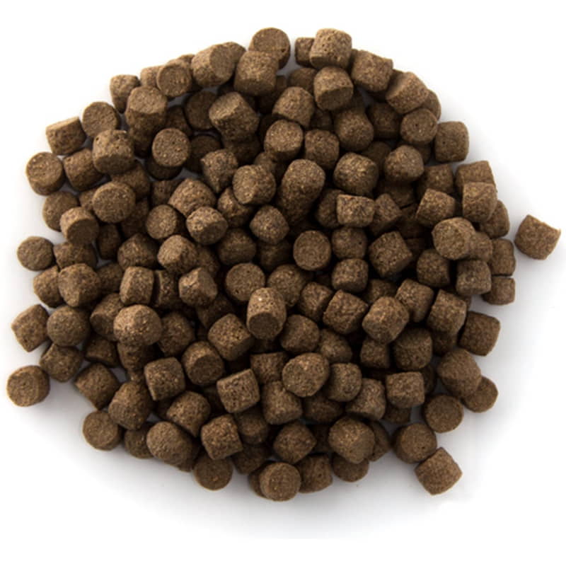 Top Koi 6mm online kaufen | iPet.ch