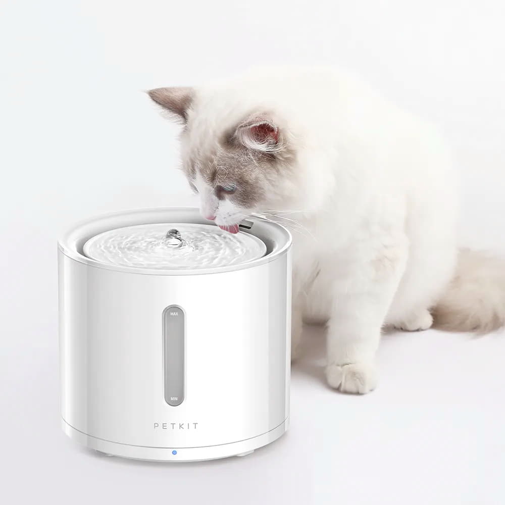 PETKIT Smart Pet Trinkbrunnen Eversweet Solo 2.0