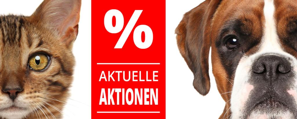 iPet.ch: Tierfutter & Zubehör für Hund & Katze