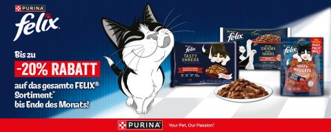 iPet.ch: Tierfutter & Zubehör für Hund & Katze